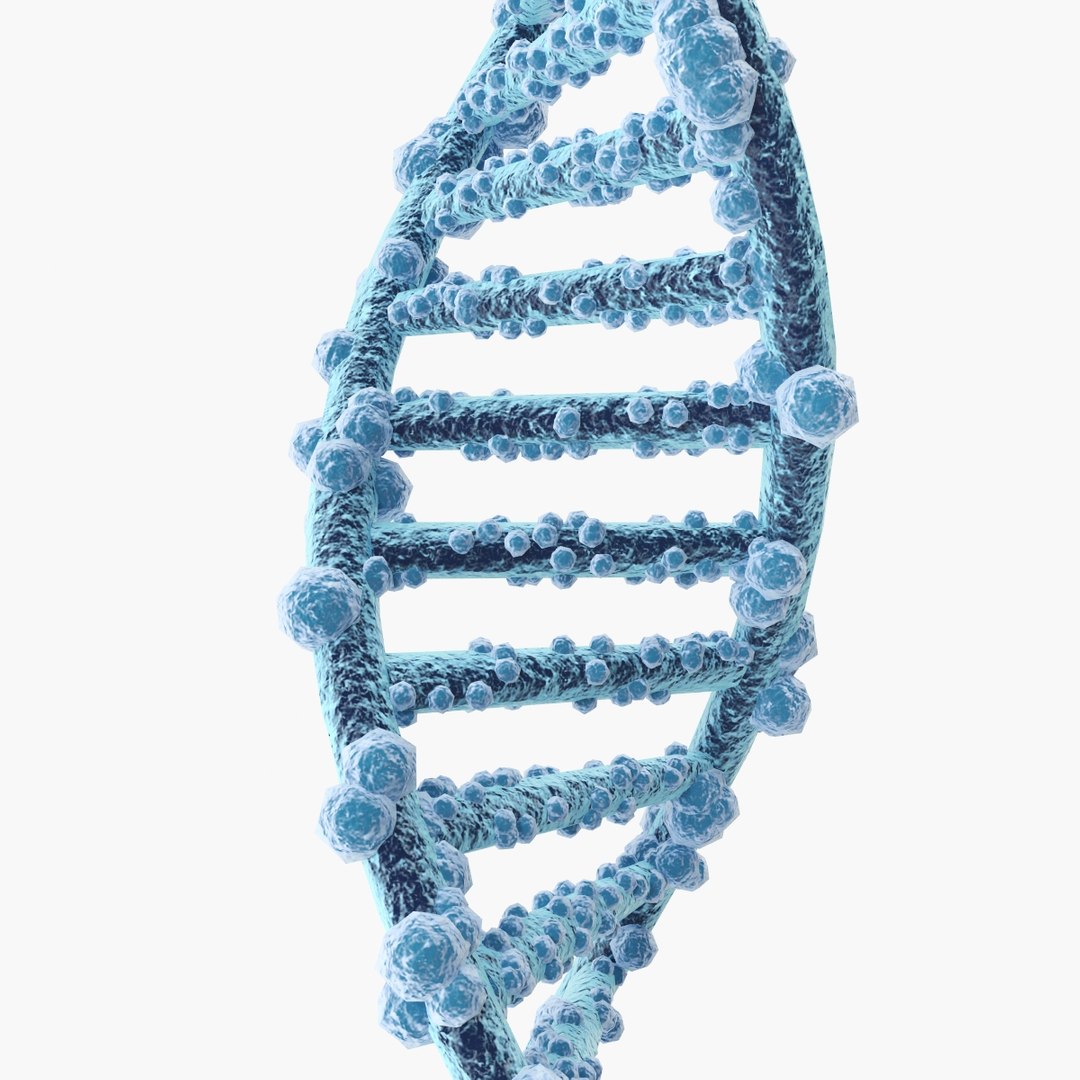 3D dna set model - TurboSquid 1163514