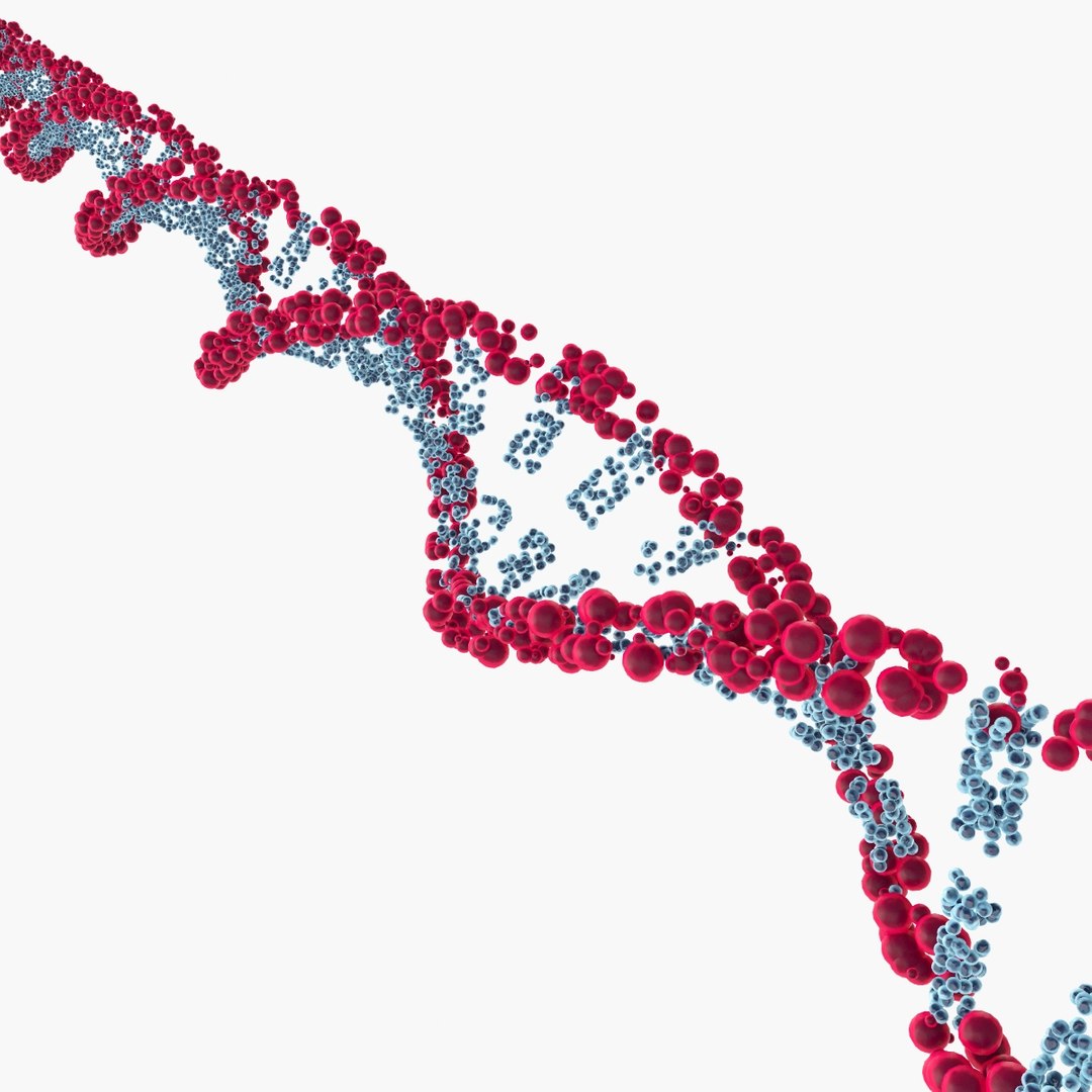 3D dna set model - TurboSquid 1163514