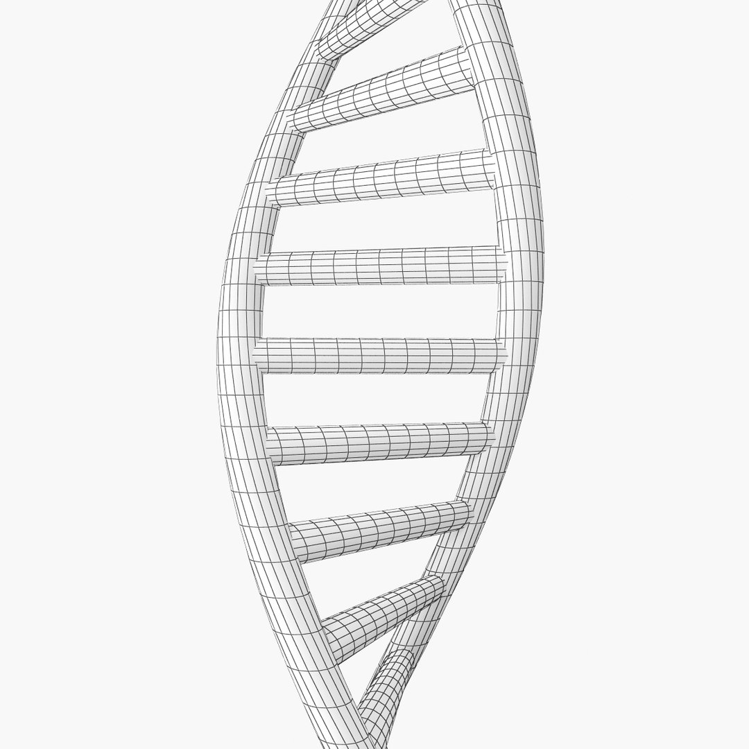 3D dna set model - TurboSquid 1163514