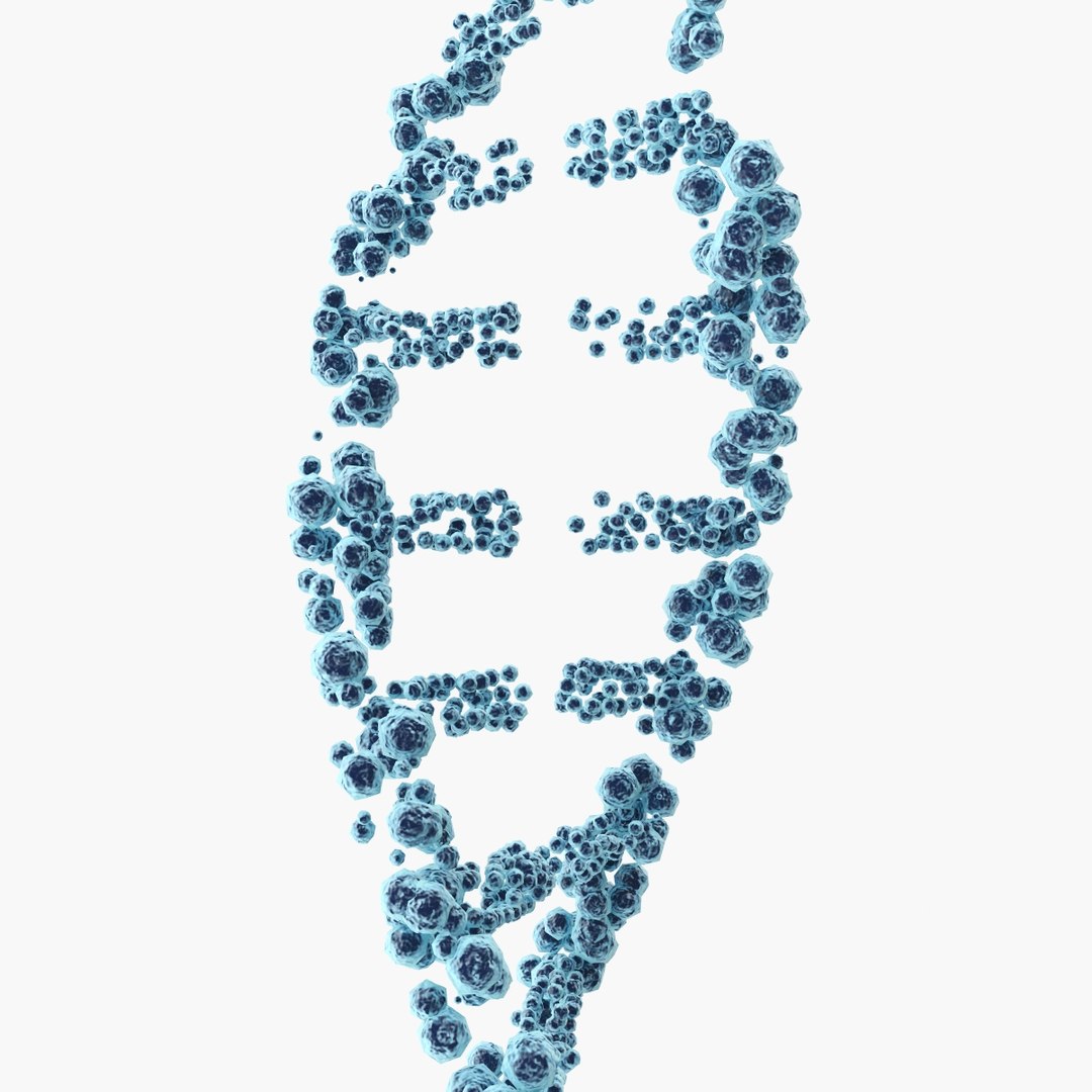 3D dna set model - TurboSquid 1163514