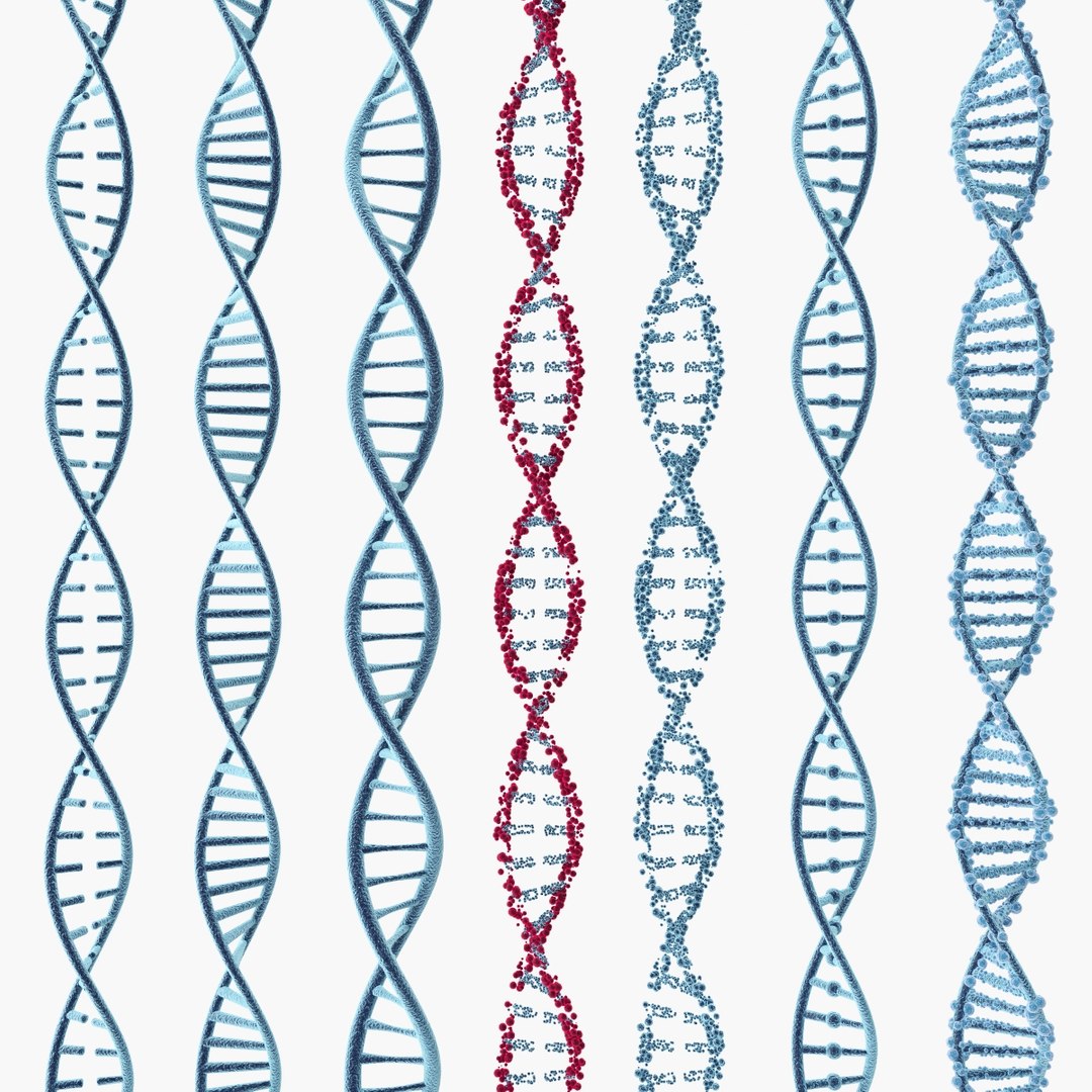 3D dna set model - TurboSquid 1163514