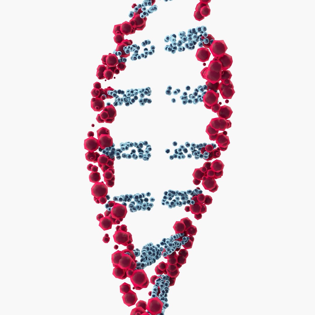 3D dna set model - TurboSquid 1163514