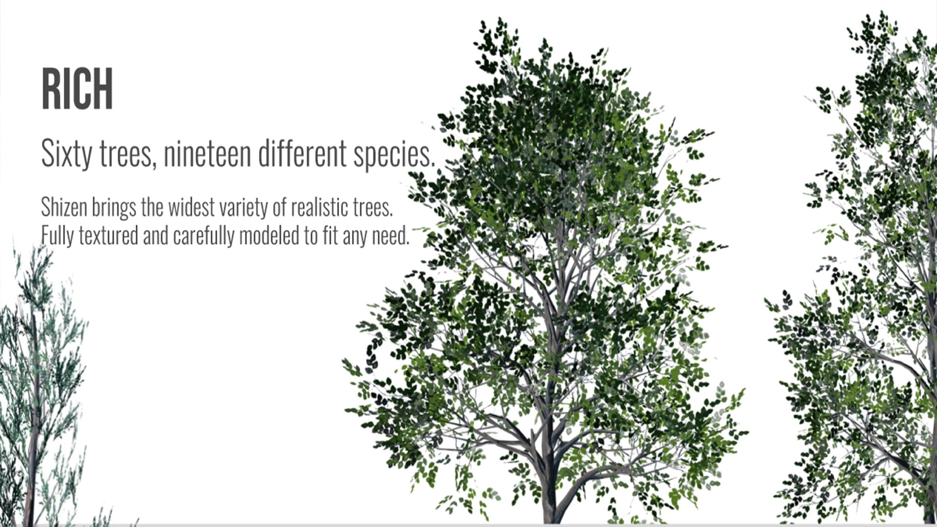 3D Shizen - Tree Generator Addon - TurboSquid 2297708