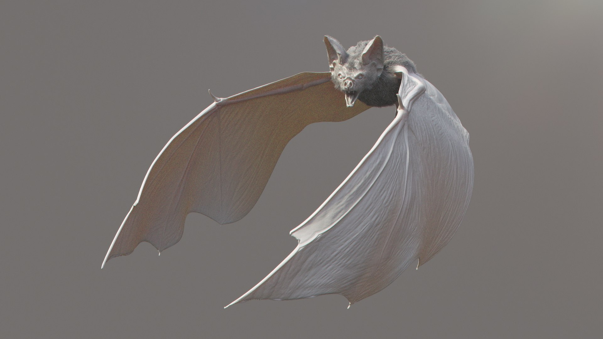 3d vampire bat
