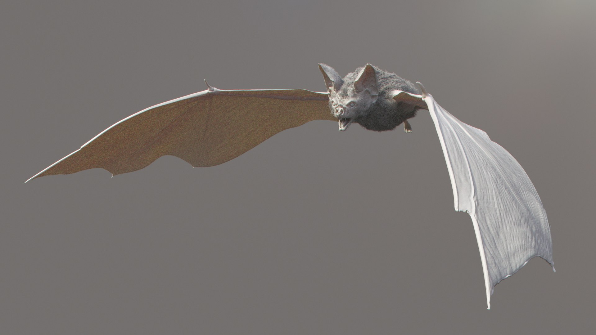3d vampire bat