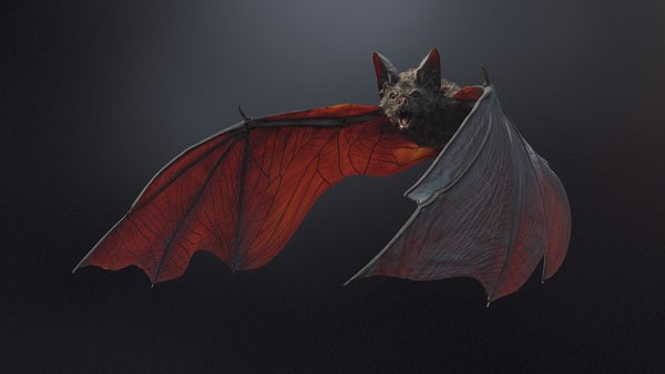 3d vampire bat
