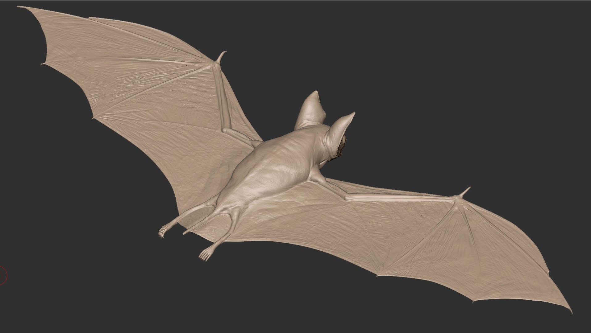 3d vampire bat