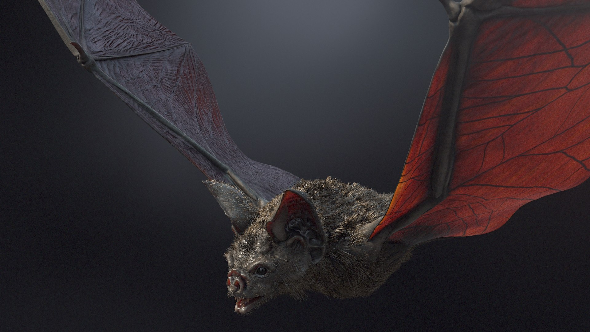 3d vampire bat