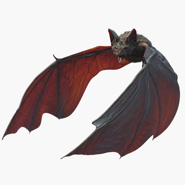 vampire bat 3d model