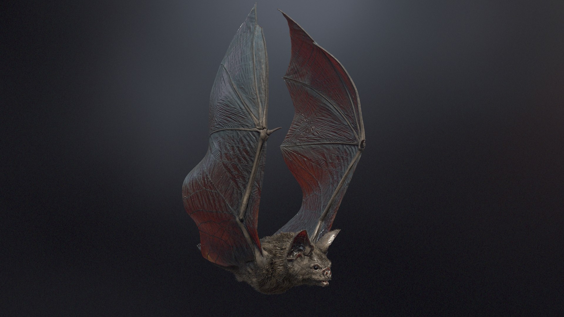 3d vampire bat