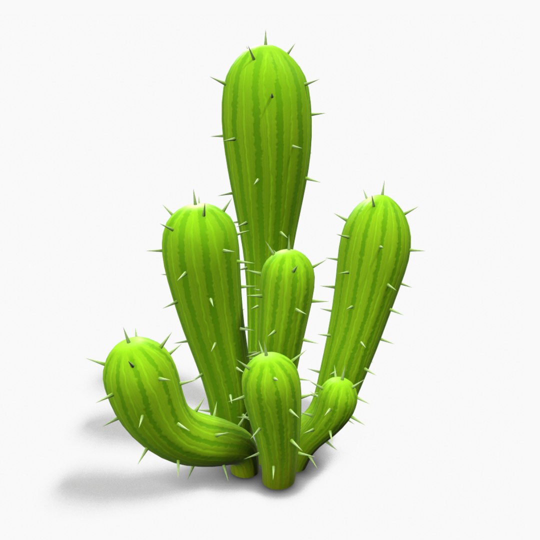 3D Cactus05V3dsMax - TurboSquid 1801102