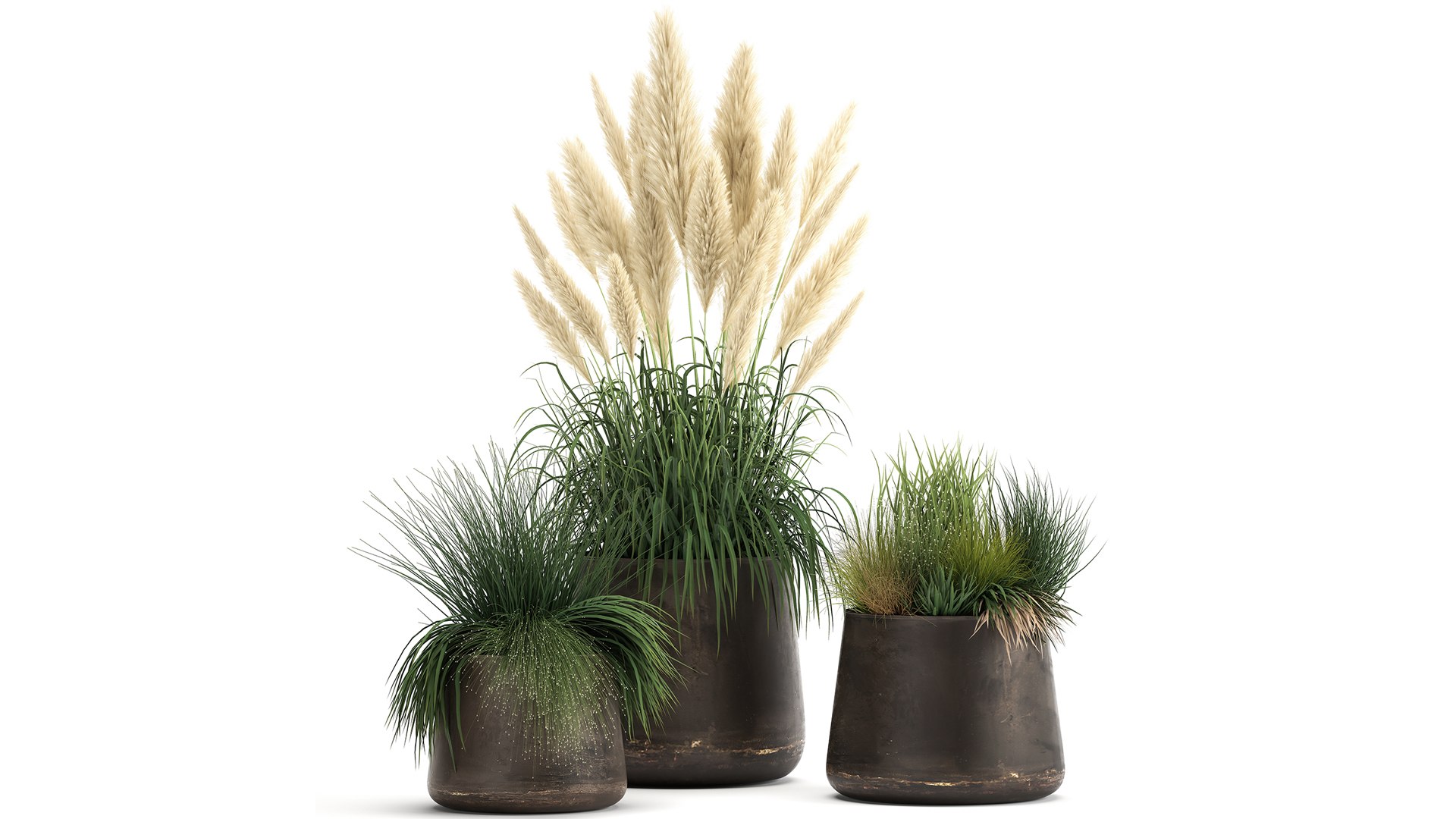 3D reeds and grass in a Flowerpot for the interior 920 - TurboSquid 1717124