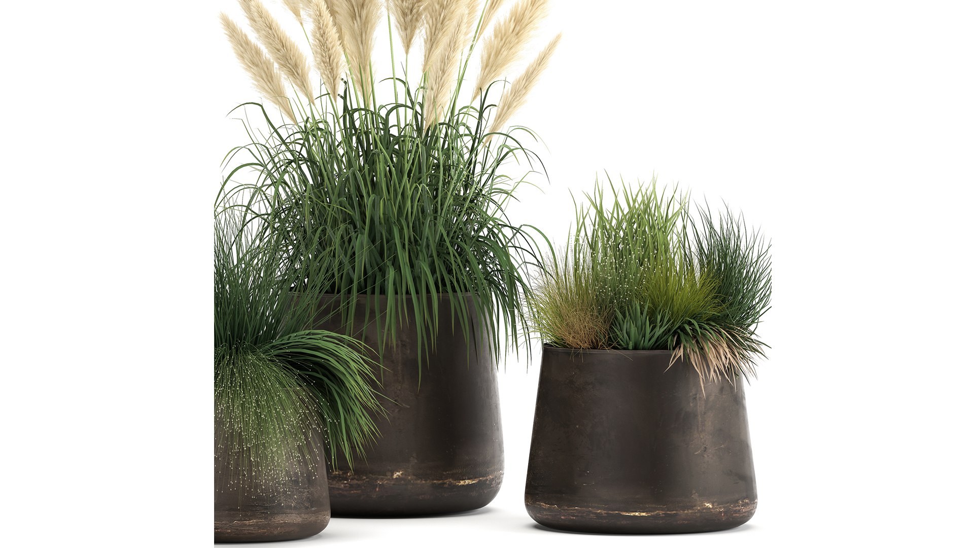 3D reeds and grass in a Flowerpot for the interior 920 - TurboSquid 1717124