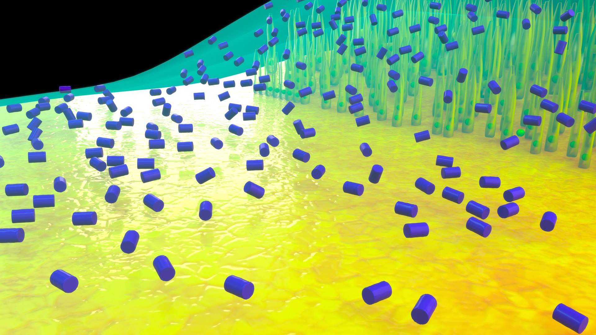 3D Macula Model - TurboSquid 2192423