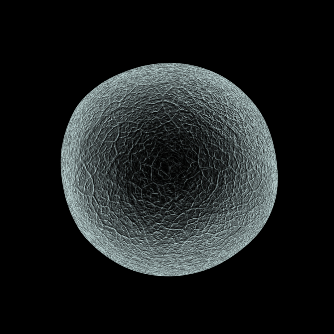 3d Model Human Egg Cell Microscope