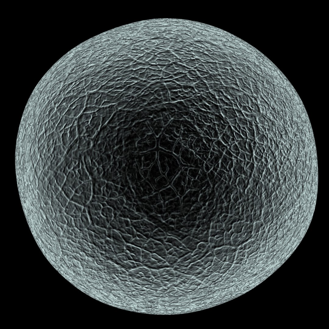 3d Model Human Egg Cell Microscope