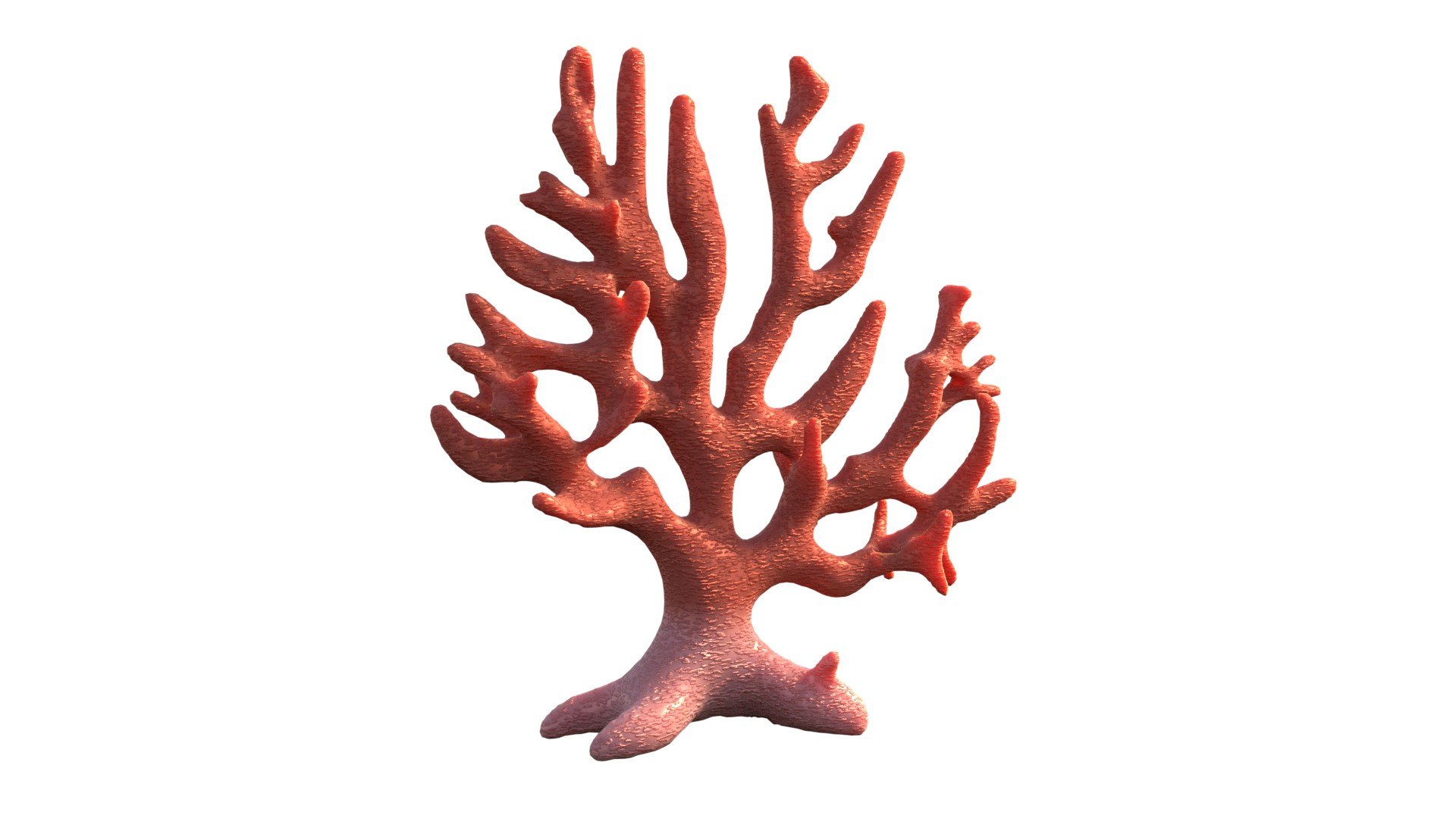 3D Model Coral Reef V7 - TurboSquid 2370937