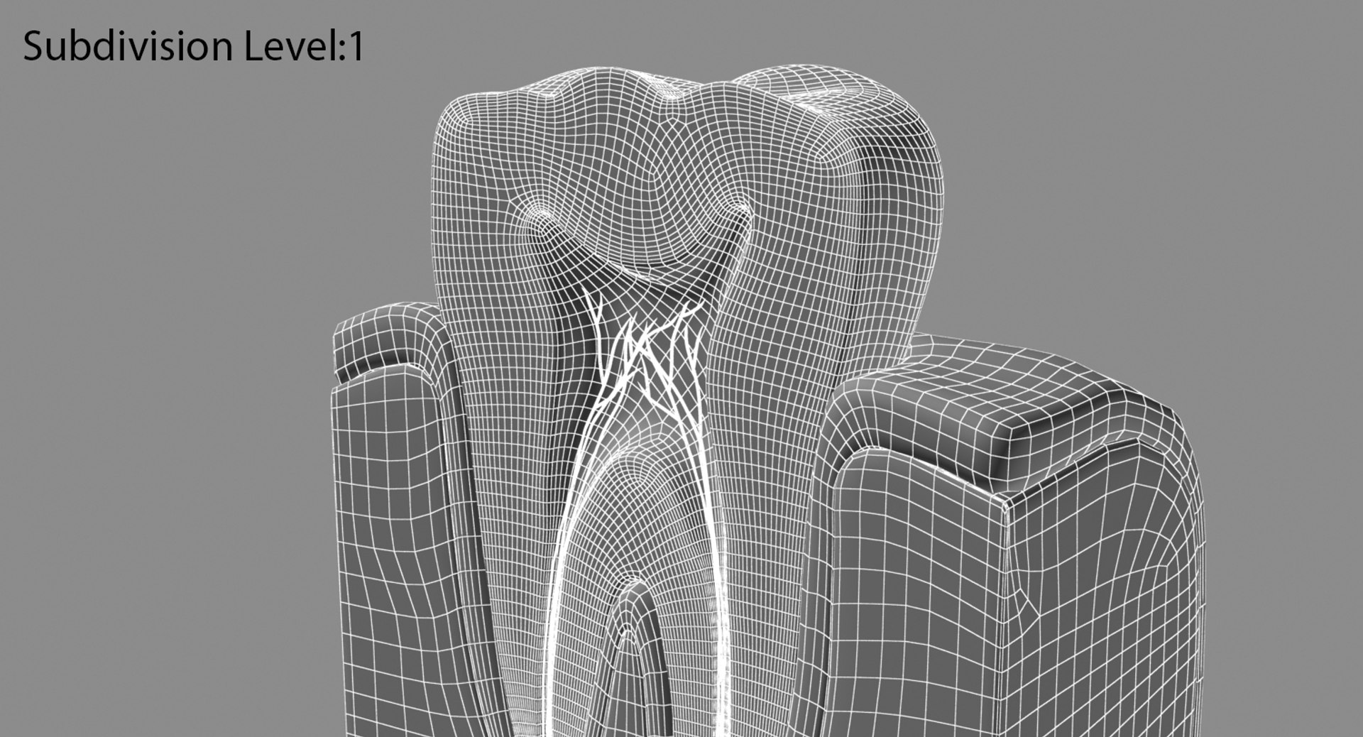 3D tooth anatomy - TurboSquid 1265282