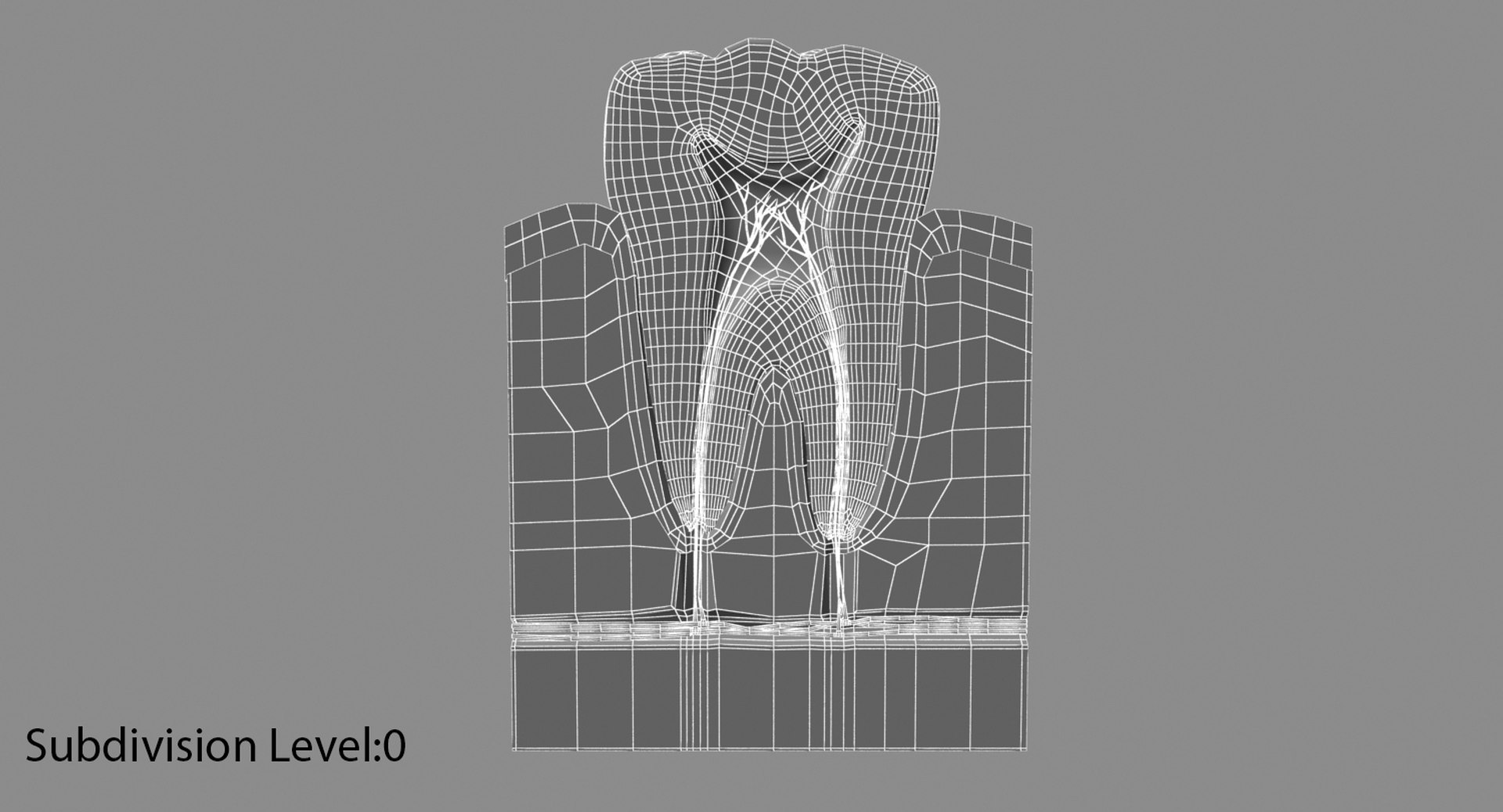3D Tooth Anatomy - TurboSquid 1265282