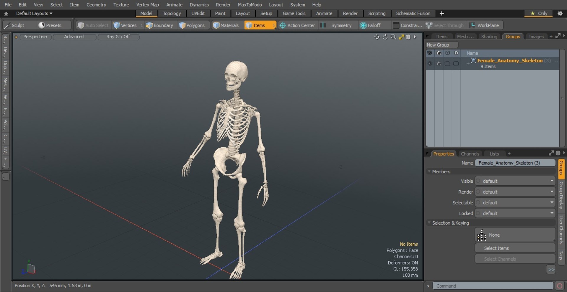 3D Female Anatomy Skeleton model - TurboSquid 1852992
