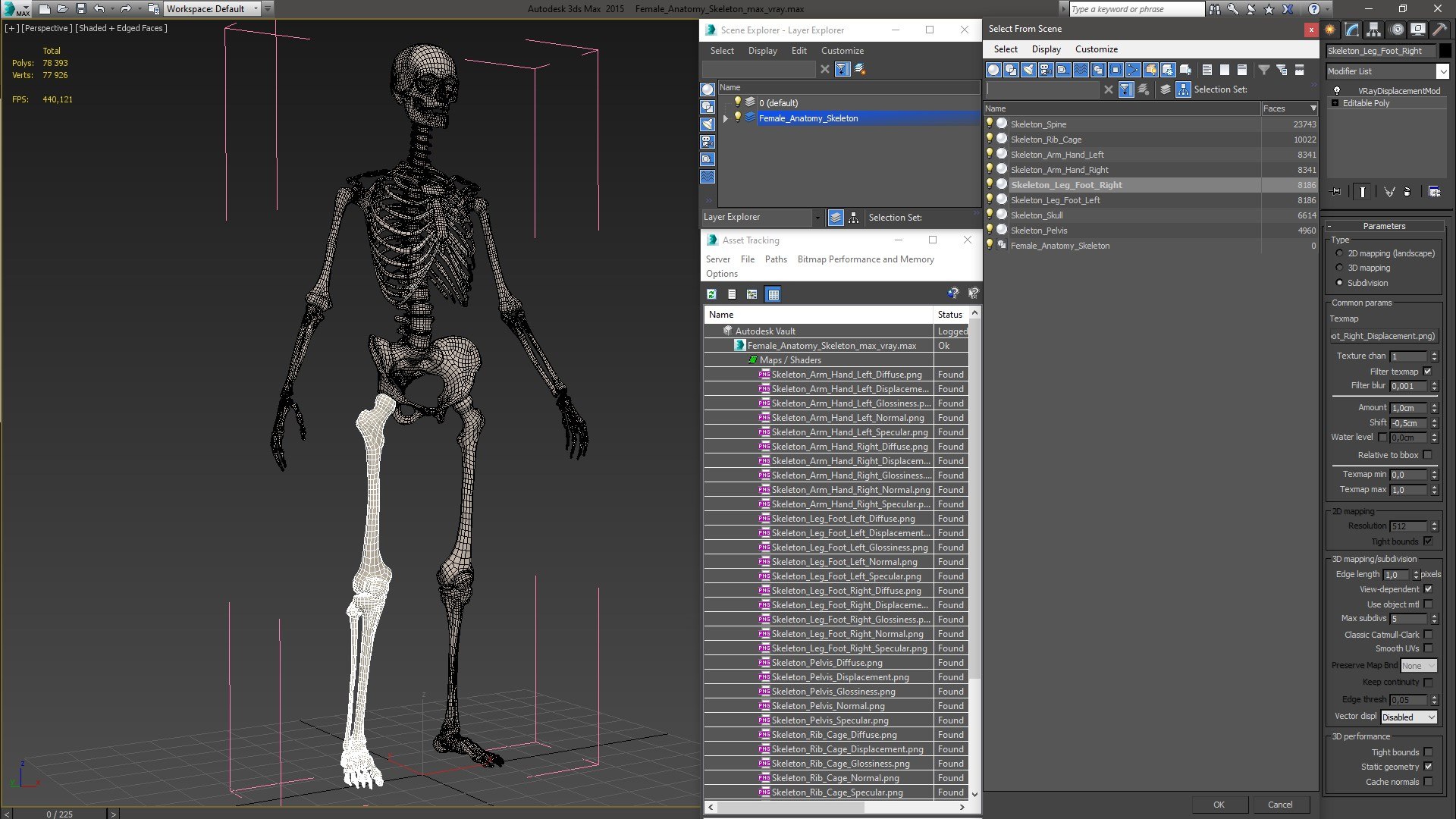 3D Female Anatomy Skeleton model - TurboSquid 1852992