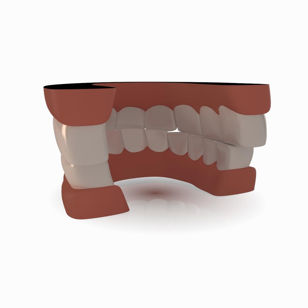 Cartoon Teeth 3d Model