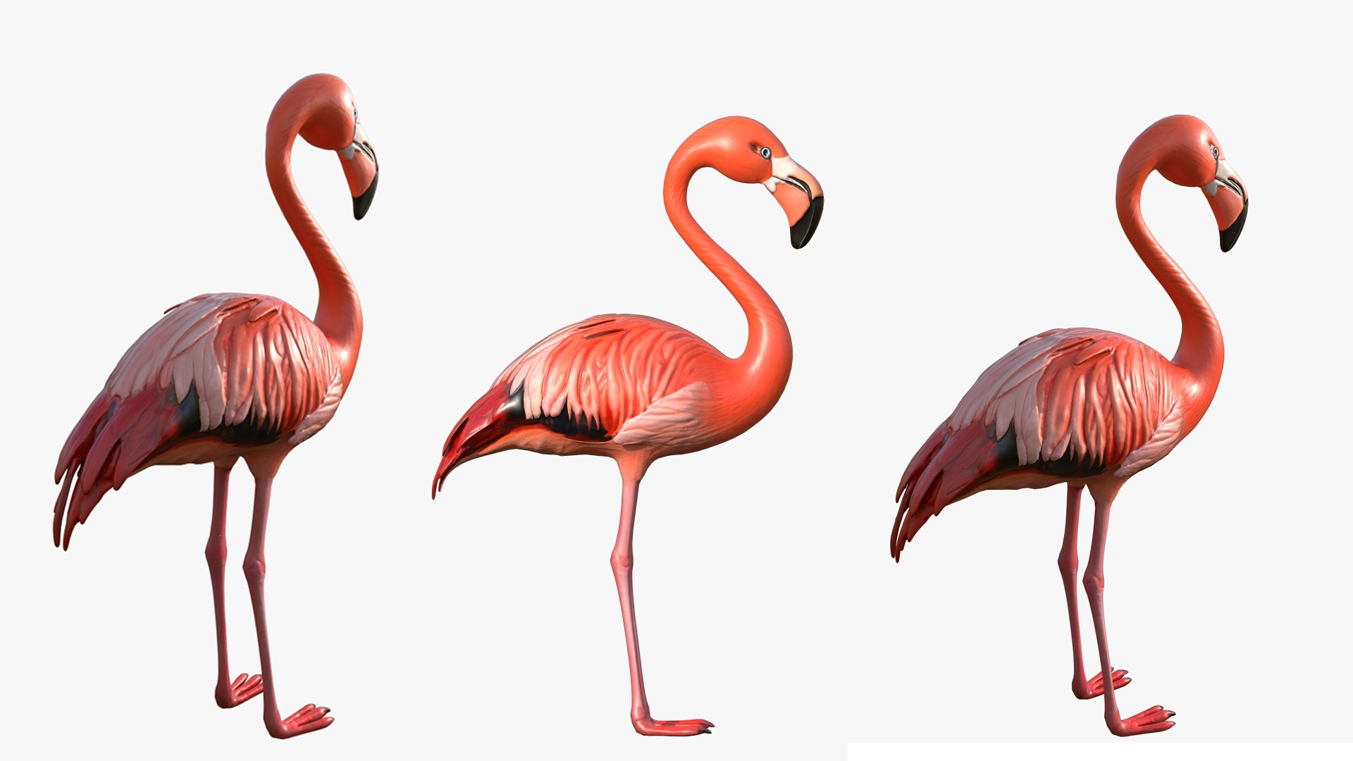 3D Flamingo - TurboSquid 2387508