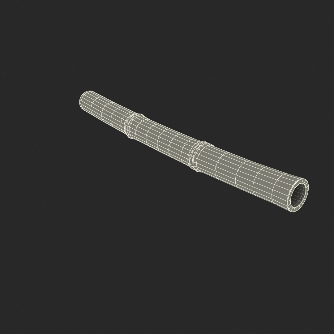 3d Model Of Wind Instrument Didgeridoo 2