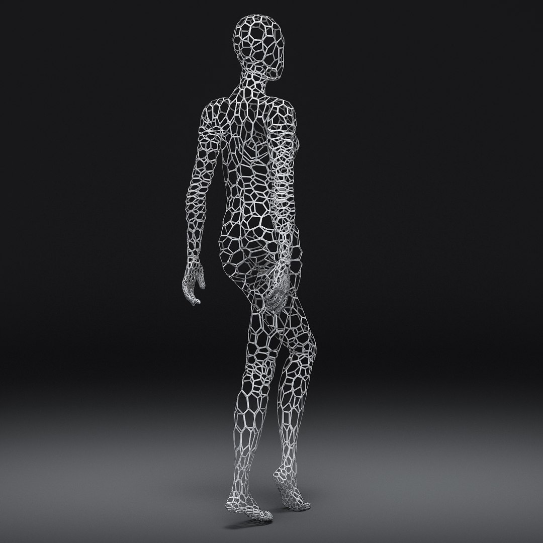 3D Female Wire Mannequin - TurboSquid 1173792
