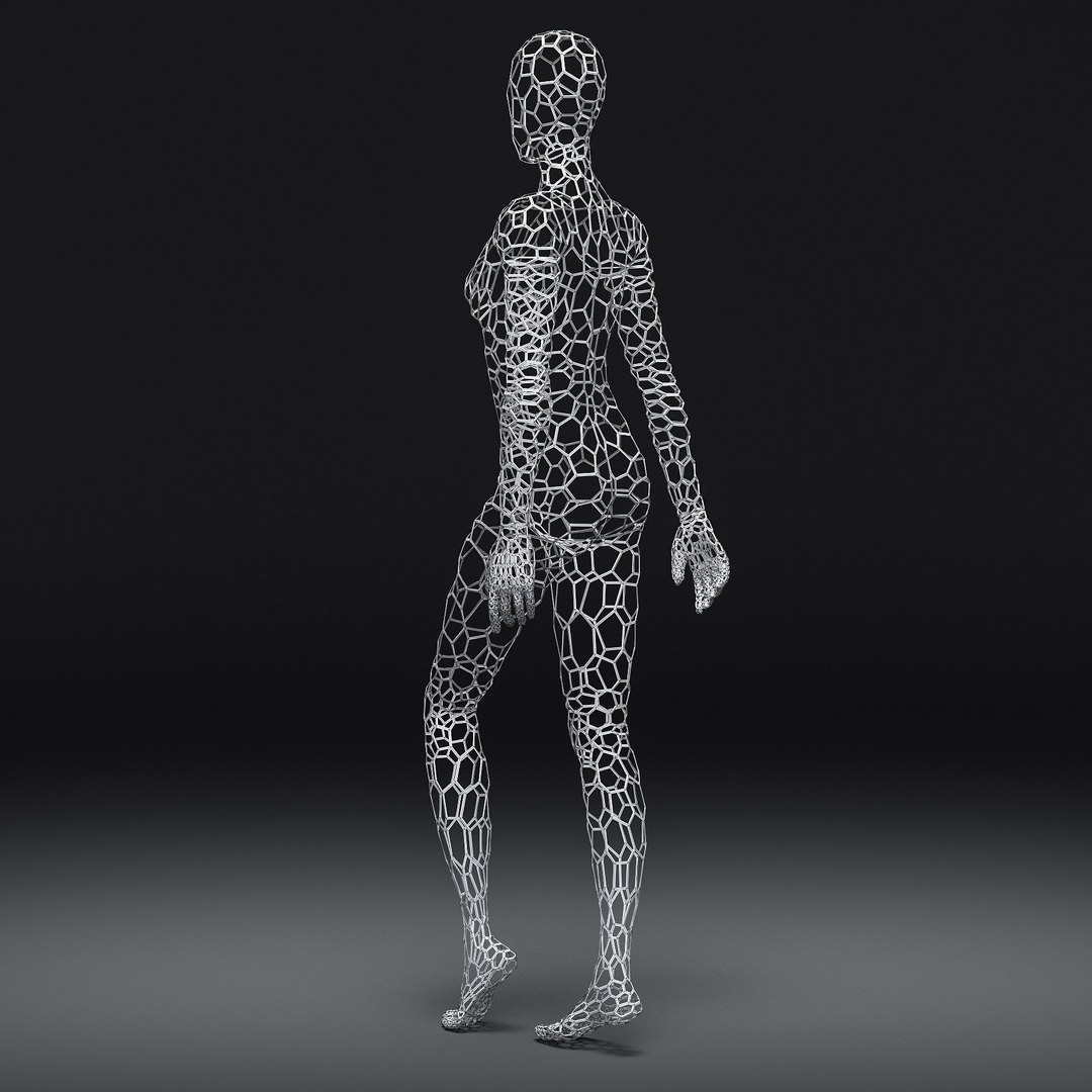 3D Female Wire Mannequin - TurboSquid 1173792