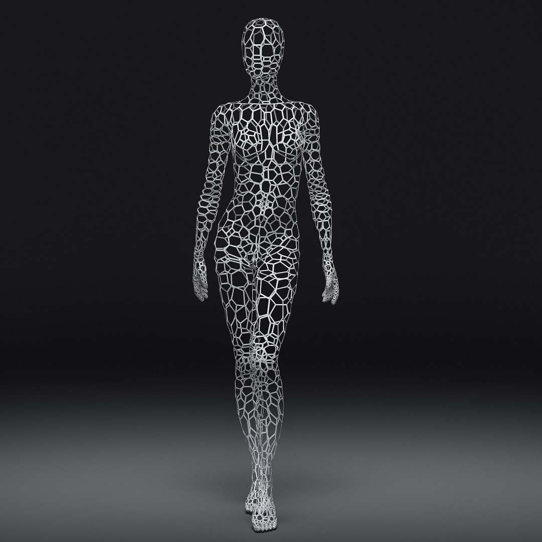 3D Female Wire Mannequin - TurboSquid 1173792