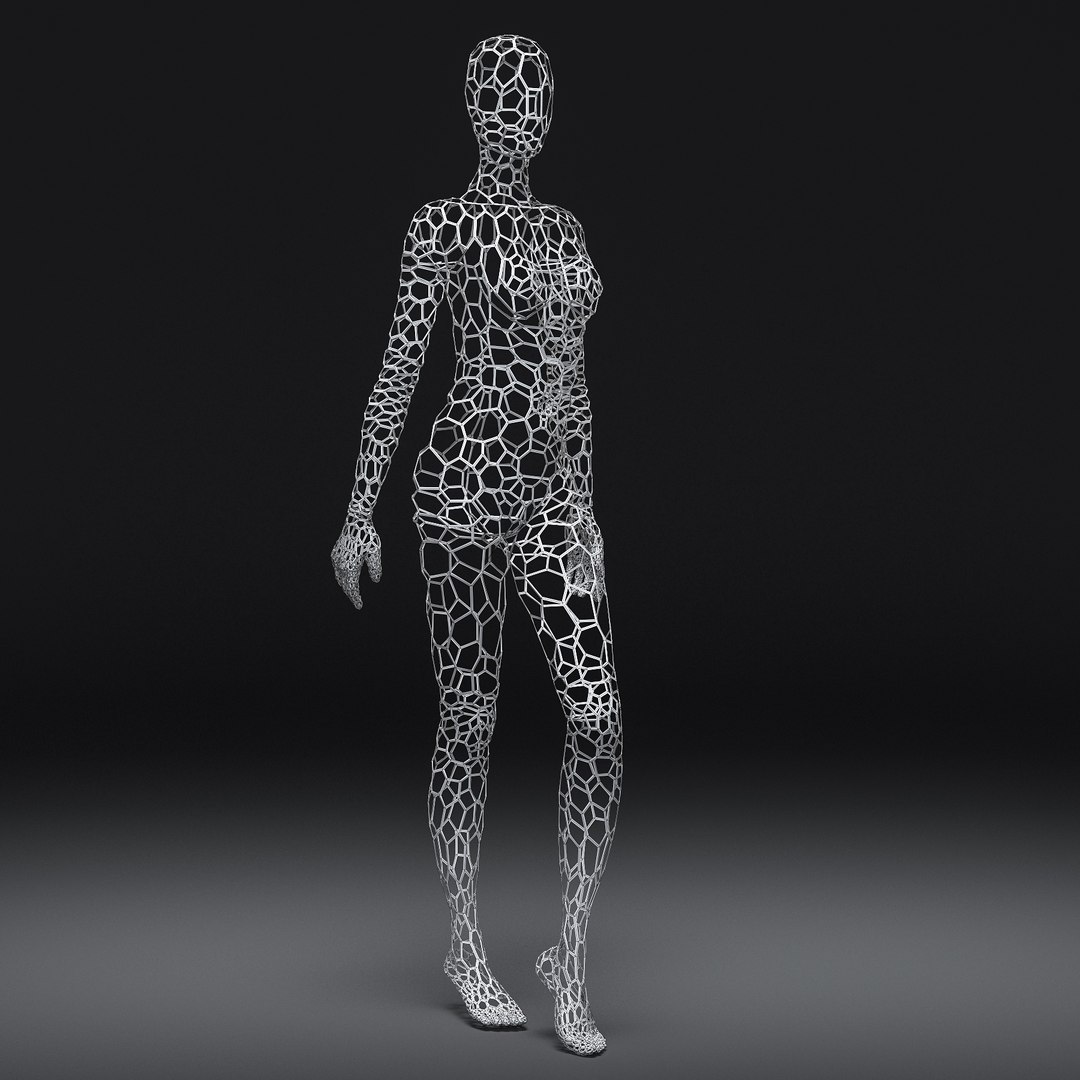 3D Female Wire Mannequin - TurboSquid 1173792