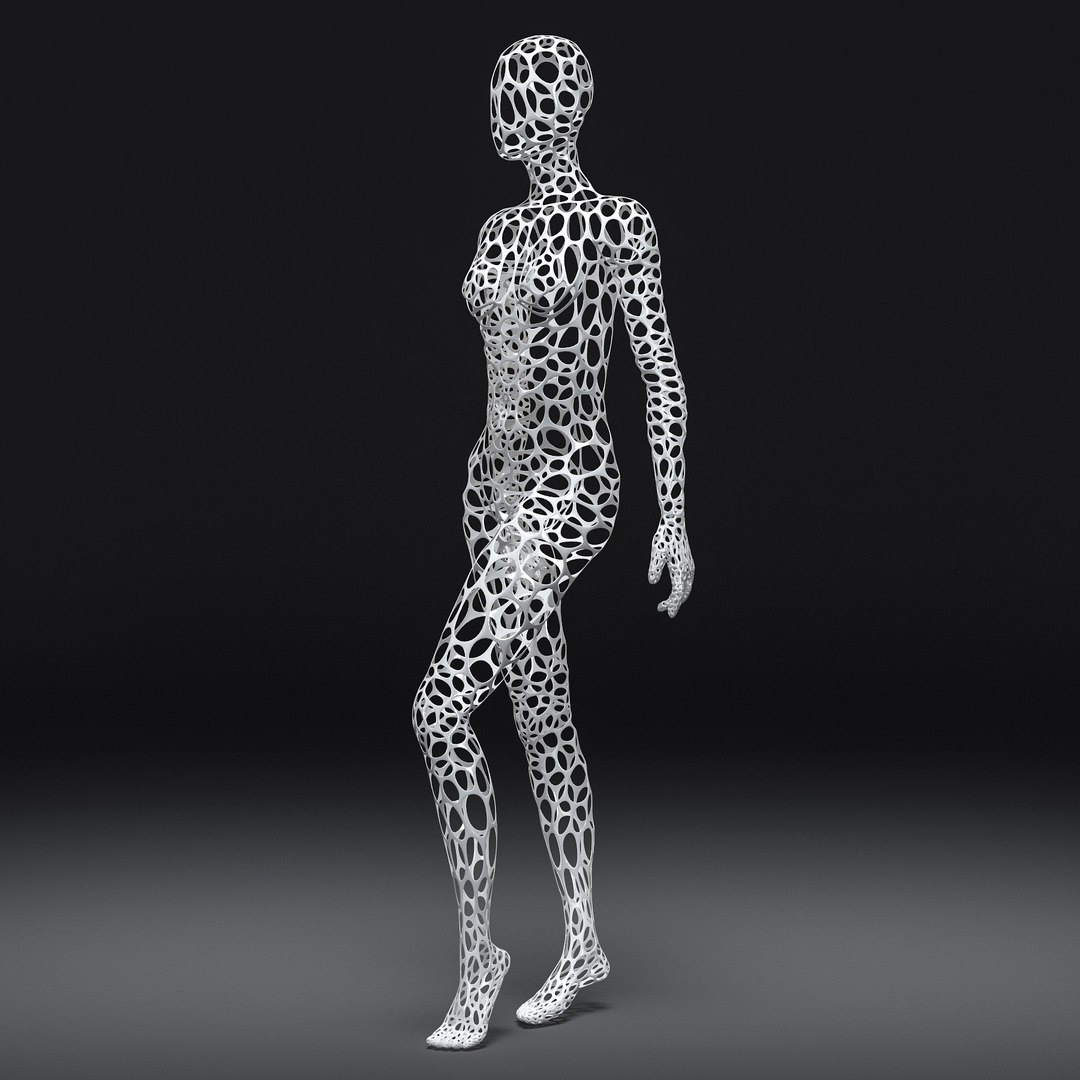 3D Female Wire Mannequin - TurboSquid 1173792