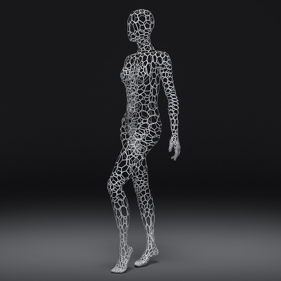 3D Female Wire Mannequin - TurboSquid 1173792