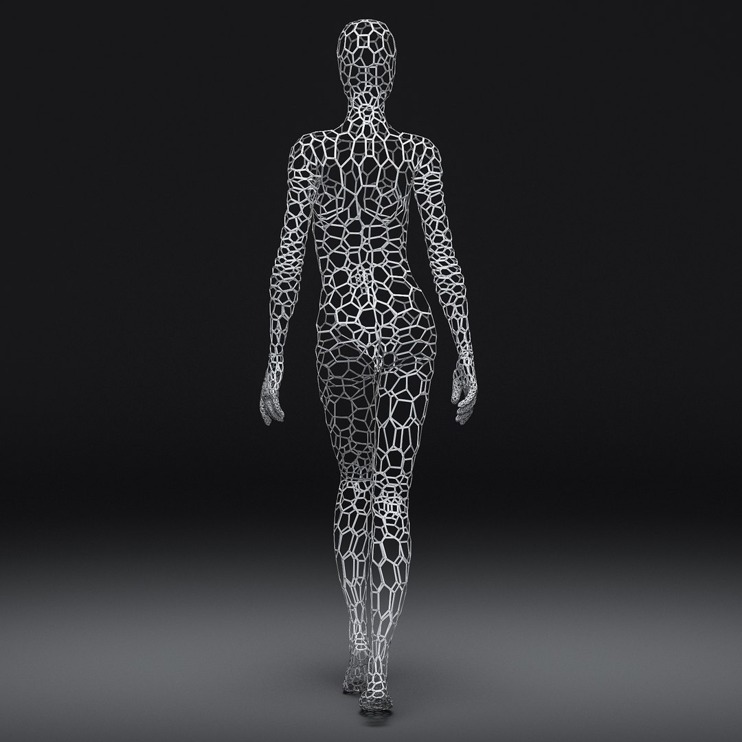 3D Female Wire Mannequin - TurboSquid 1173792