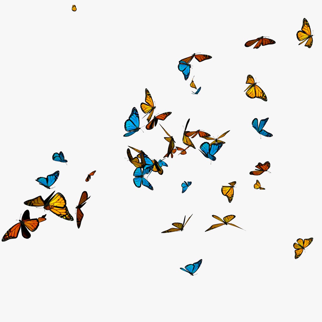 R20 Butterfly Animation 3D - TurboSquid 1626664