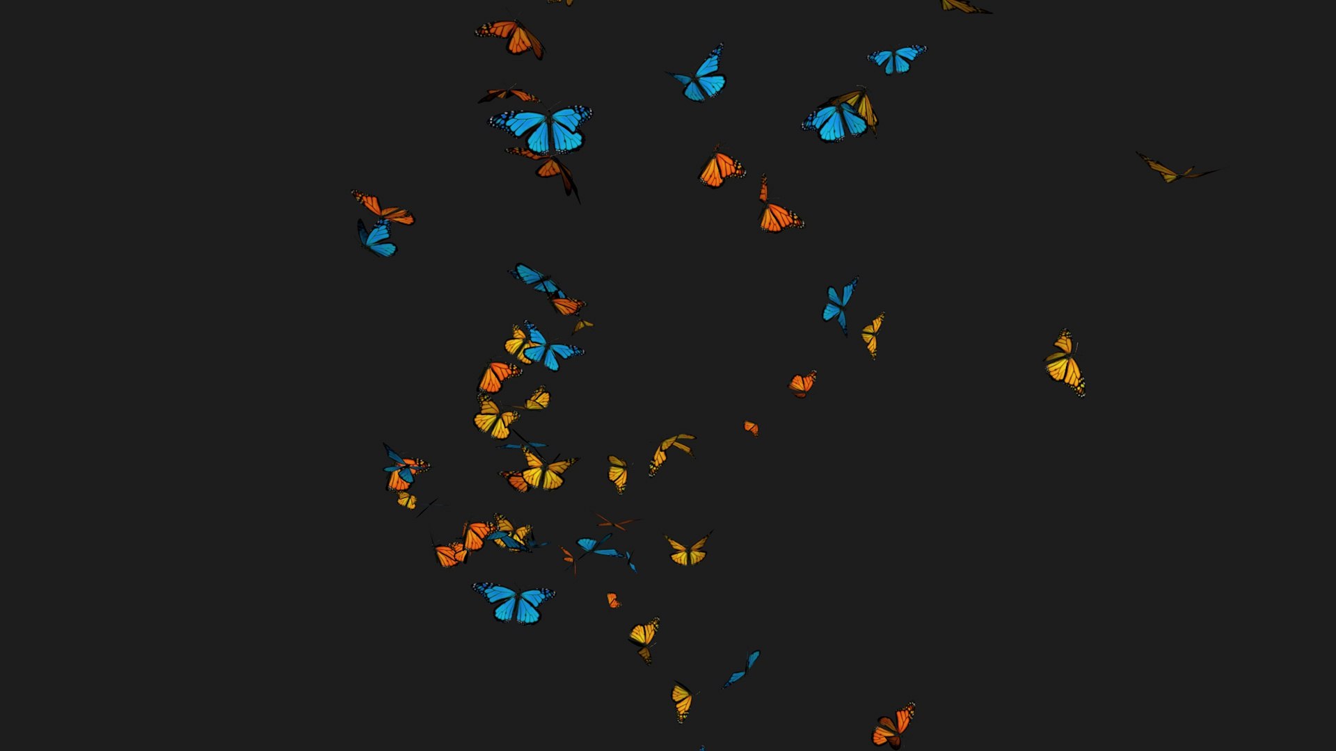 R20 Butterfly Animation 3D - TurboSquid 1626664