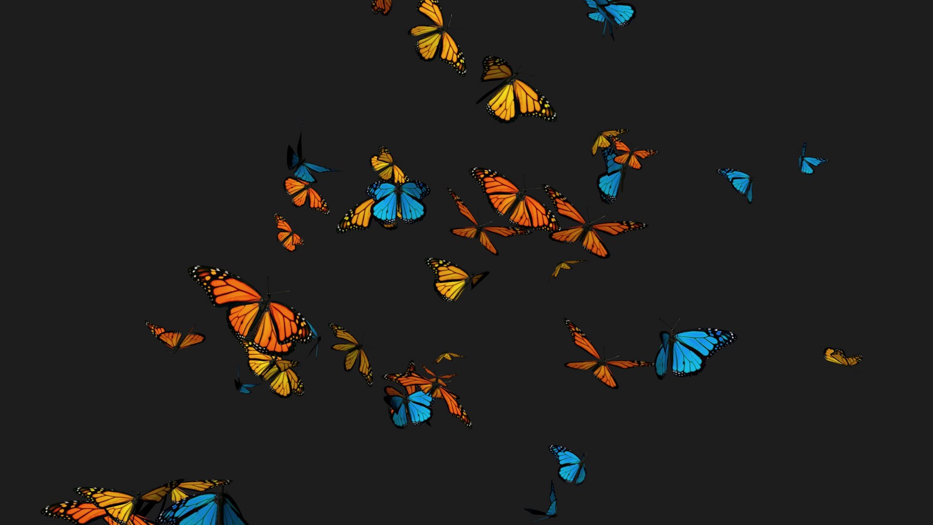 R20 Butterfly Animation 3D - TurboSquid 1626664