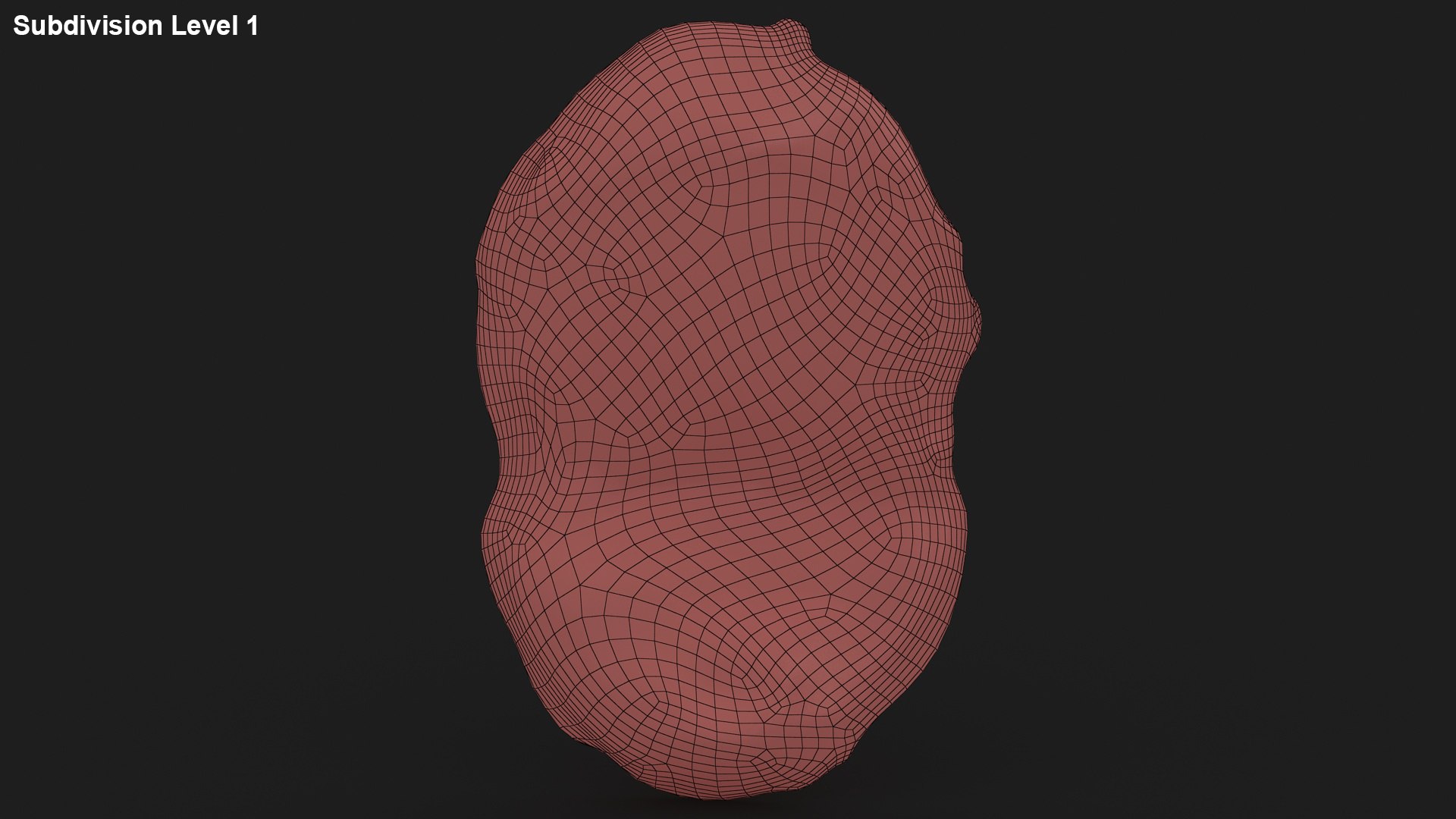 3D grain cereal model - TurboSquid 1697420