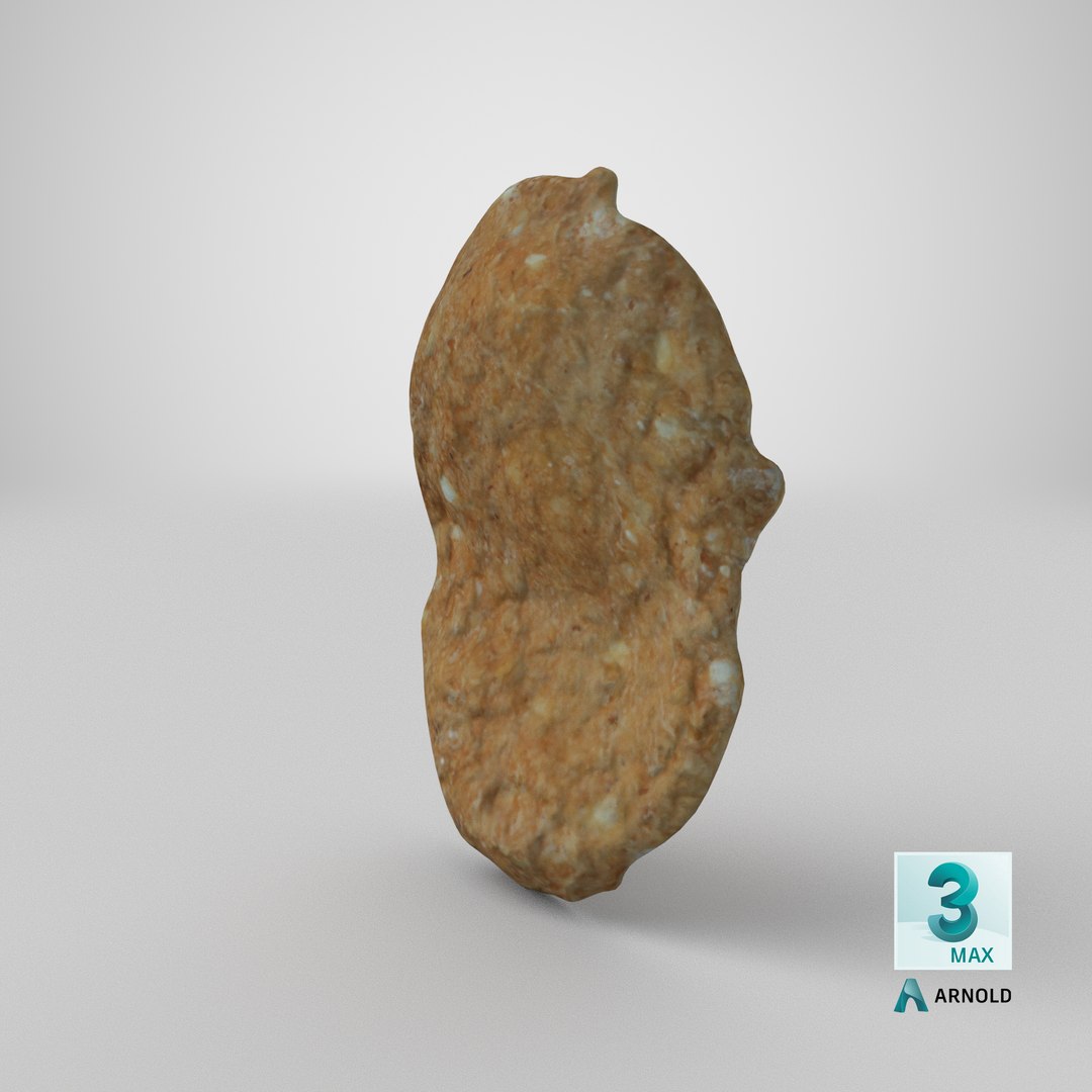 3D grain cereal model - TurboSquid 1697420