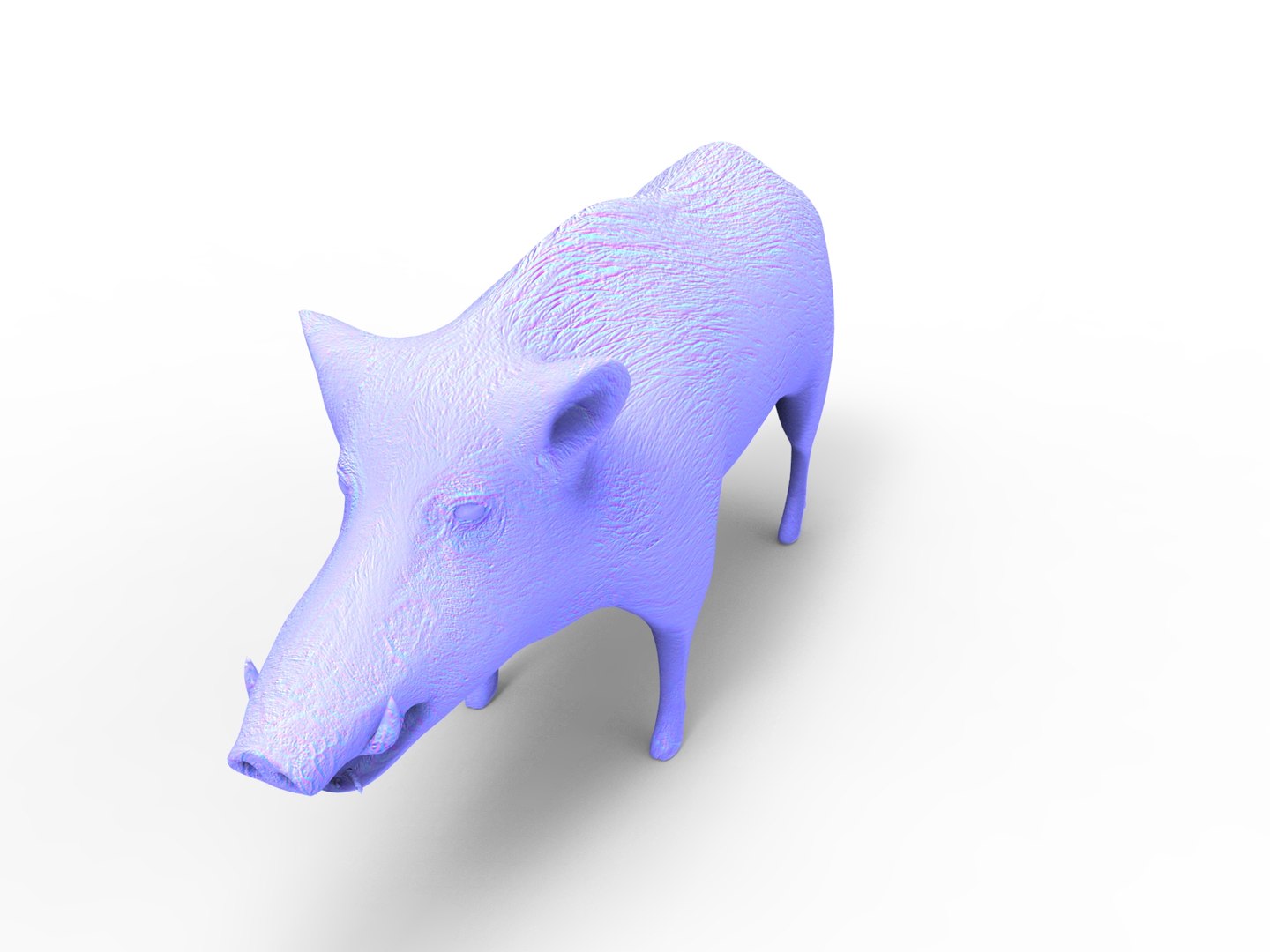Wild Boar Rigged 3D Model - TurboSquid 1240070