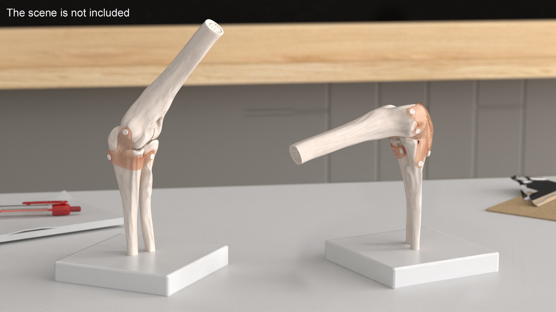Elbow Joint Rigged 3D Model - TurboSquid 2287713