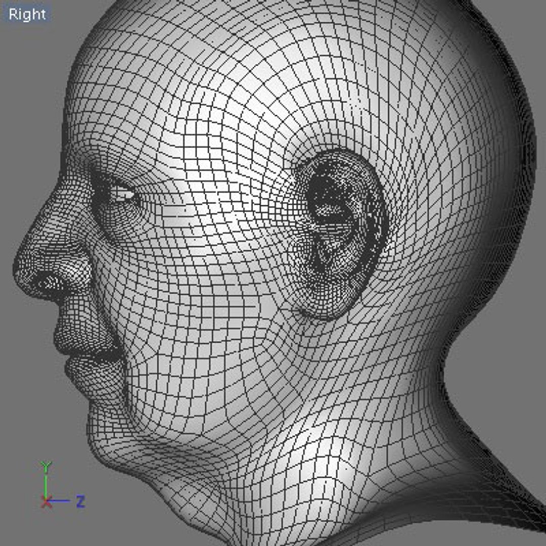 Head Old Man Edward 3d Model