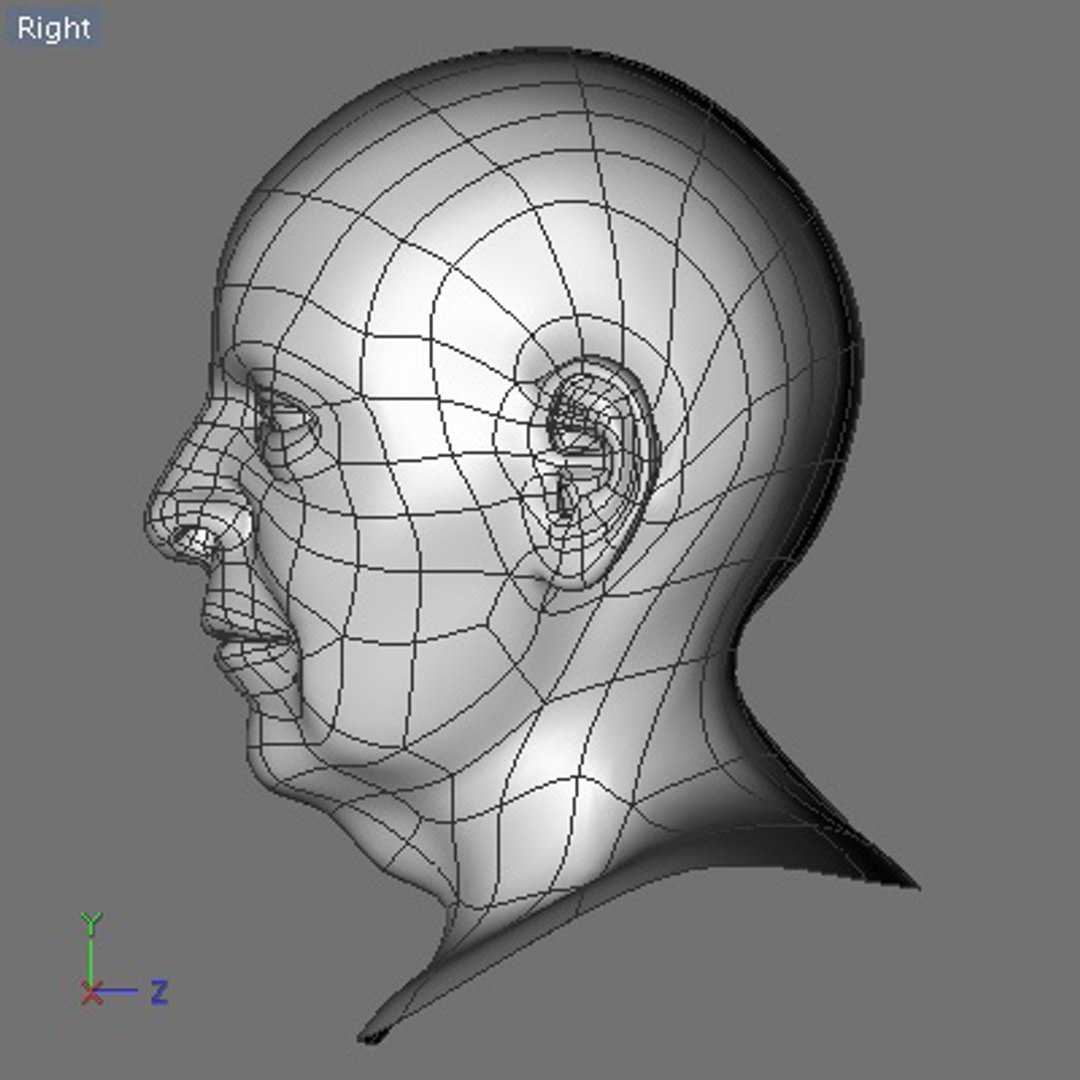 Head Old Man Edward 3d Model