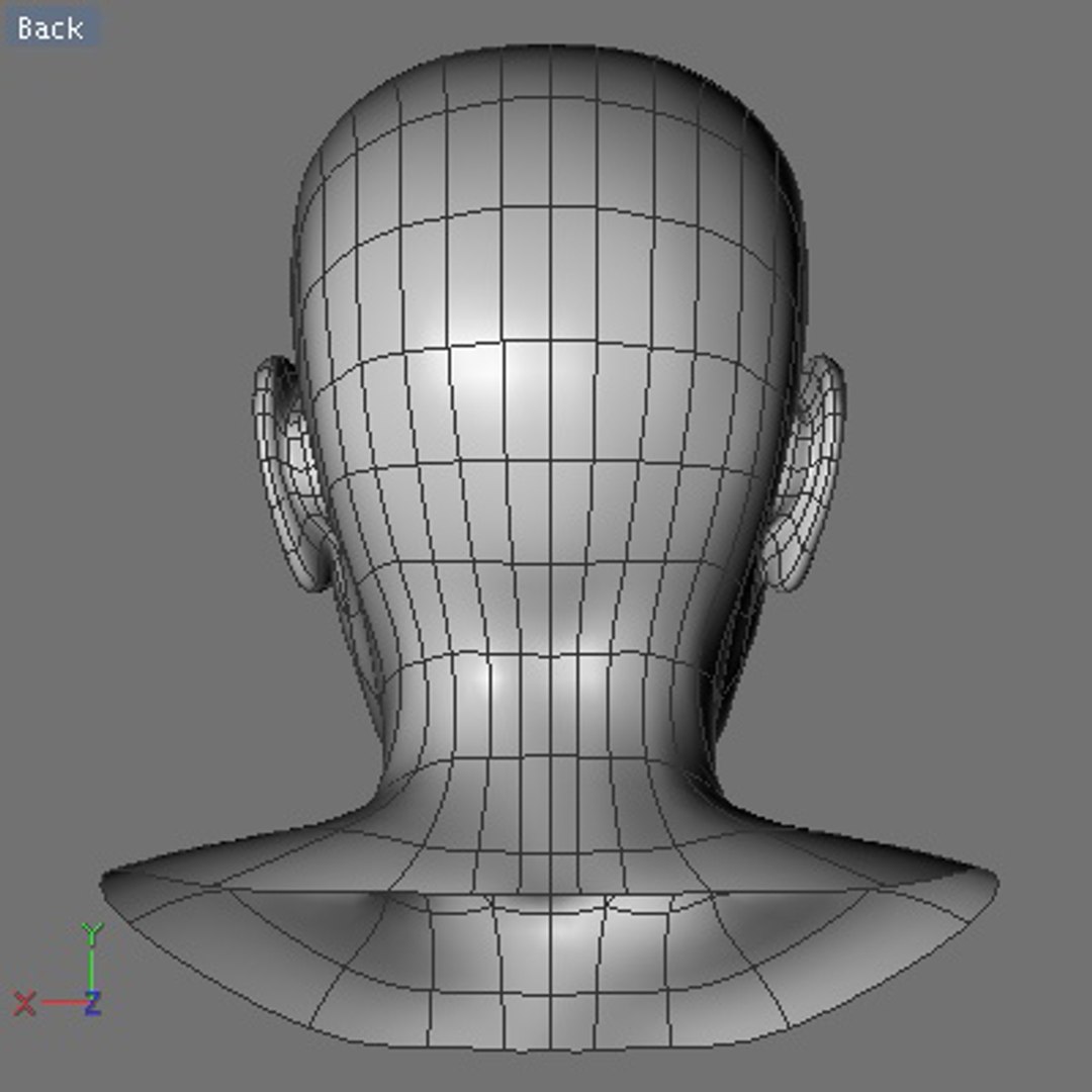 Head Old Man Edward 3d Model