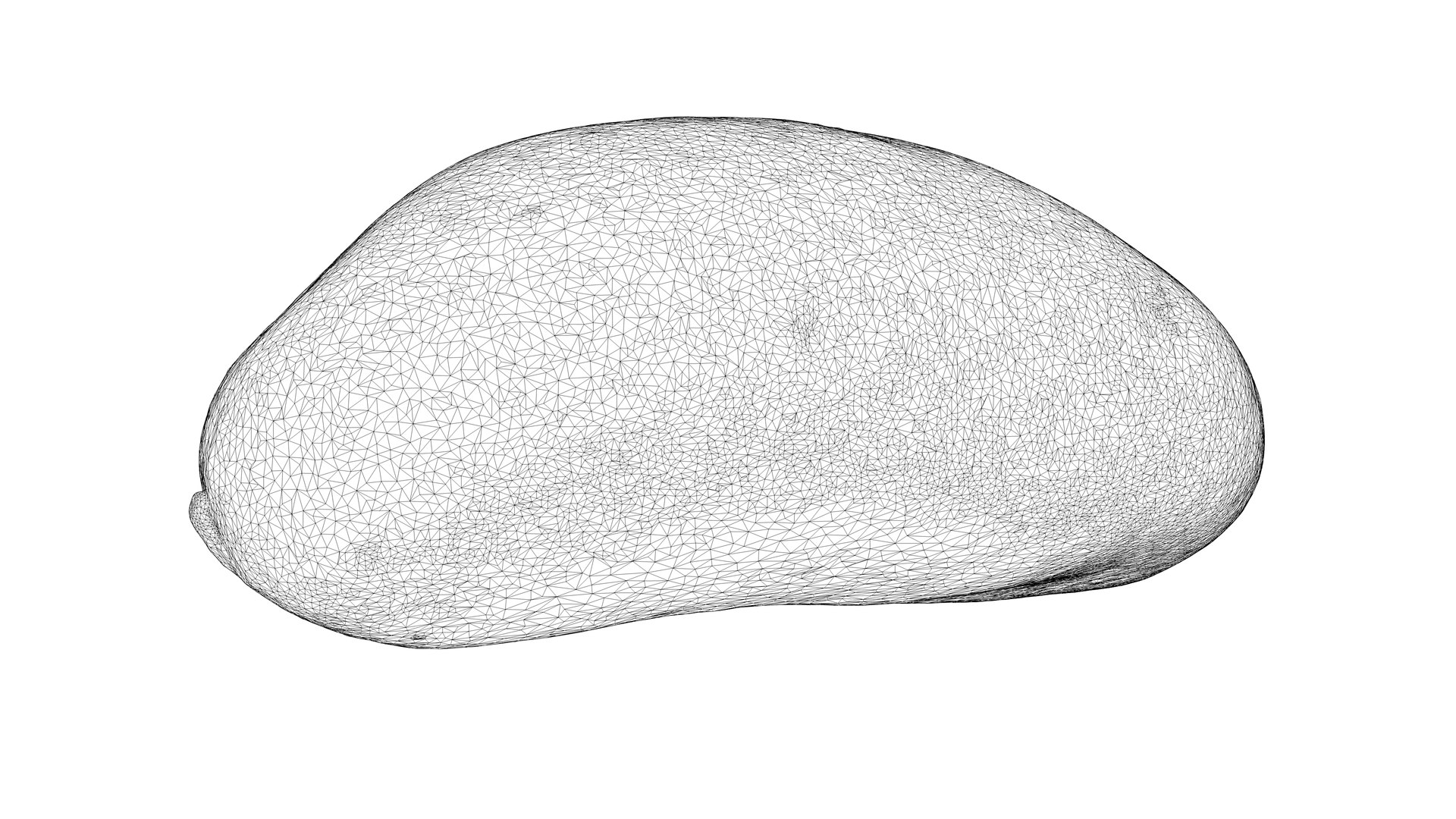 Photorealistic 3D Scan Of Potato 3D Model - TurboSquid 2229534
