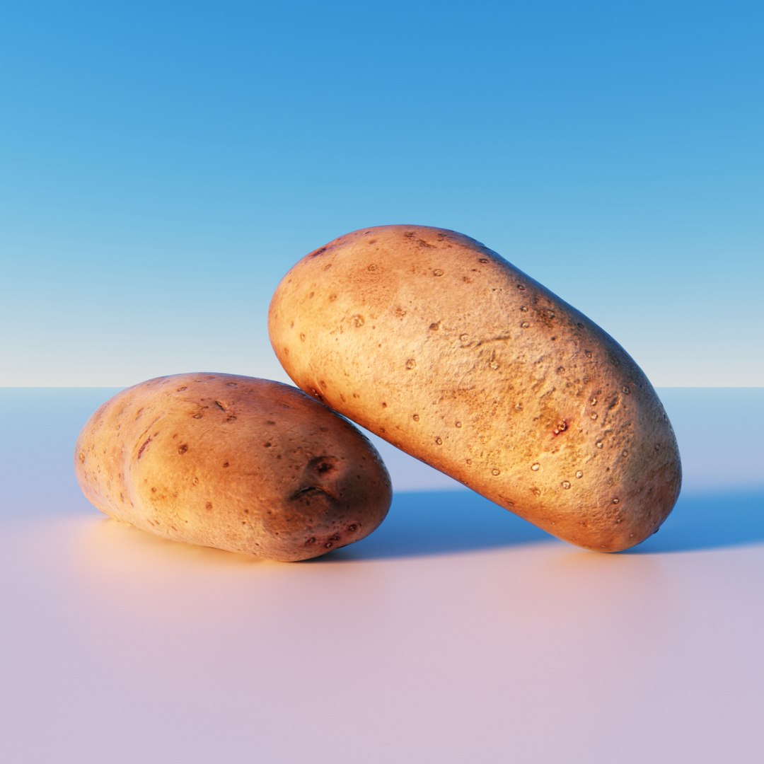 Photorealistic 3D Scan Of Potato 3D Model - TurboSquid 2229534