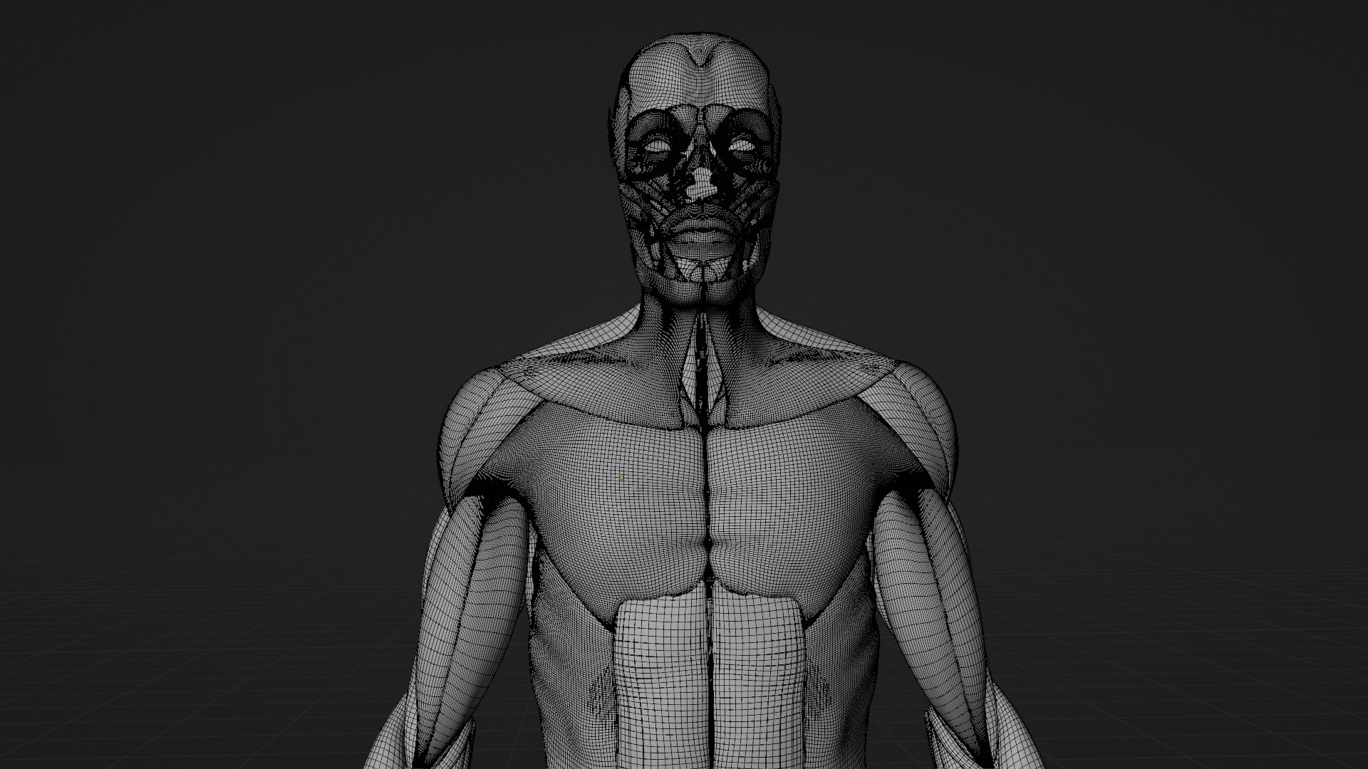 3D Human Muscular System - TurboSquid 2271810