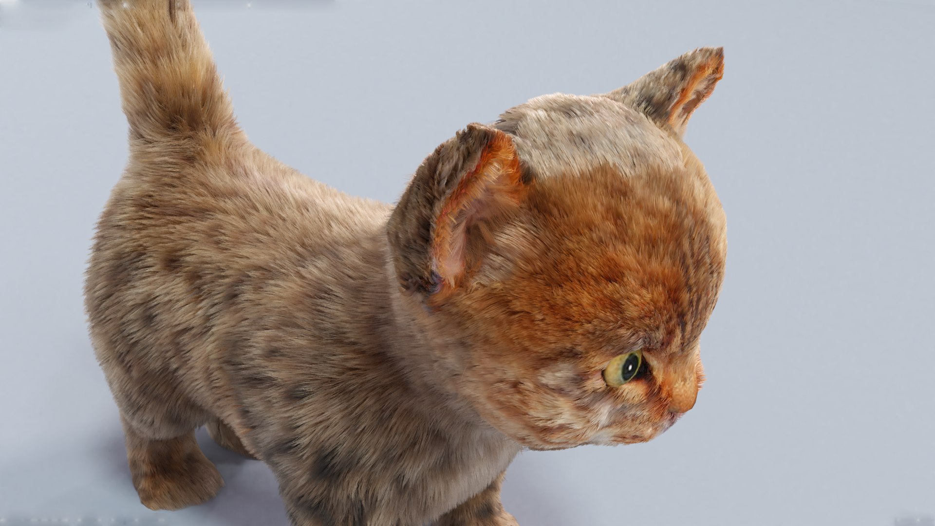 Cute Hair Fur Cat 3D Model - TurboSquid 1705713
