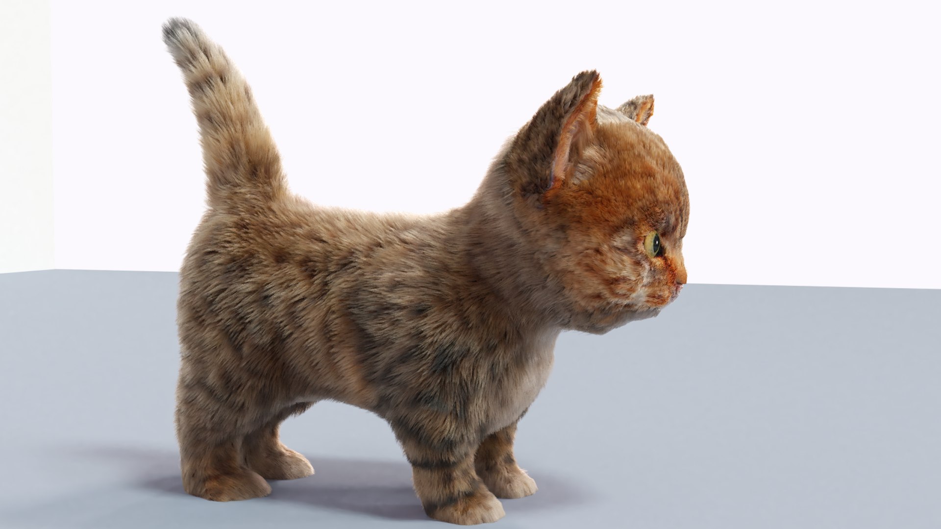 Cute Hair Fur Cat 3D Model - TurboSquid 1705713